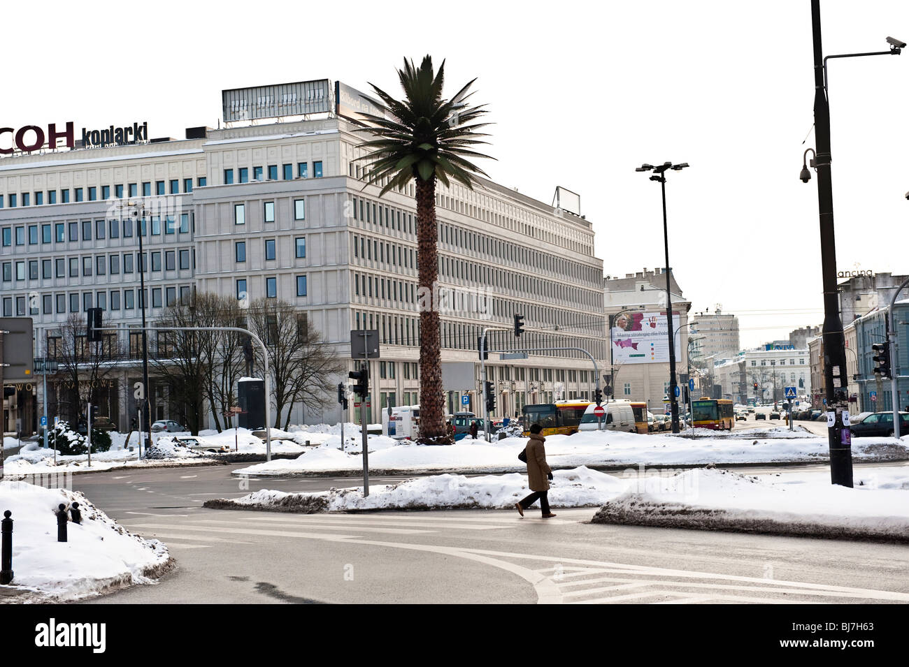 Artificial palm tree in the middle of the intersection between Aleja ...