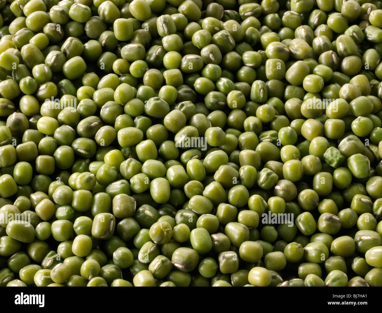 Whole mung beans, or green gram, maash, moong - close up full frame top ...