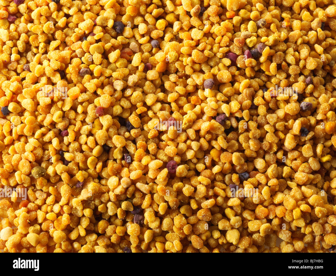Pollen grains hi-res stock photography and images - Alamy