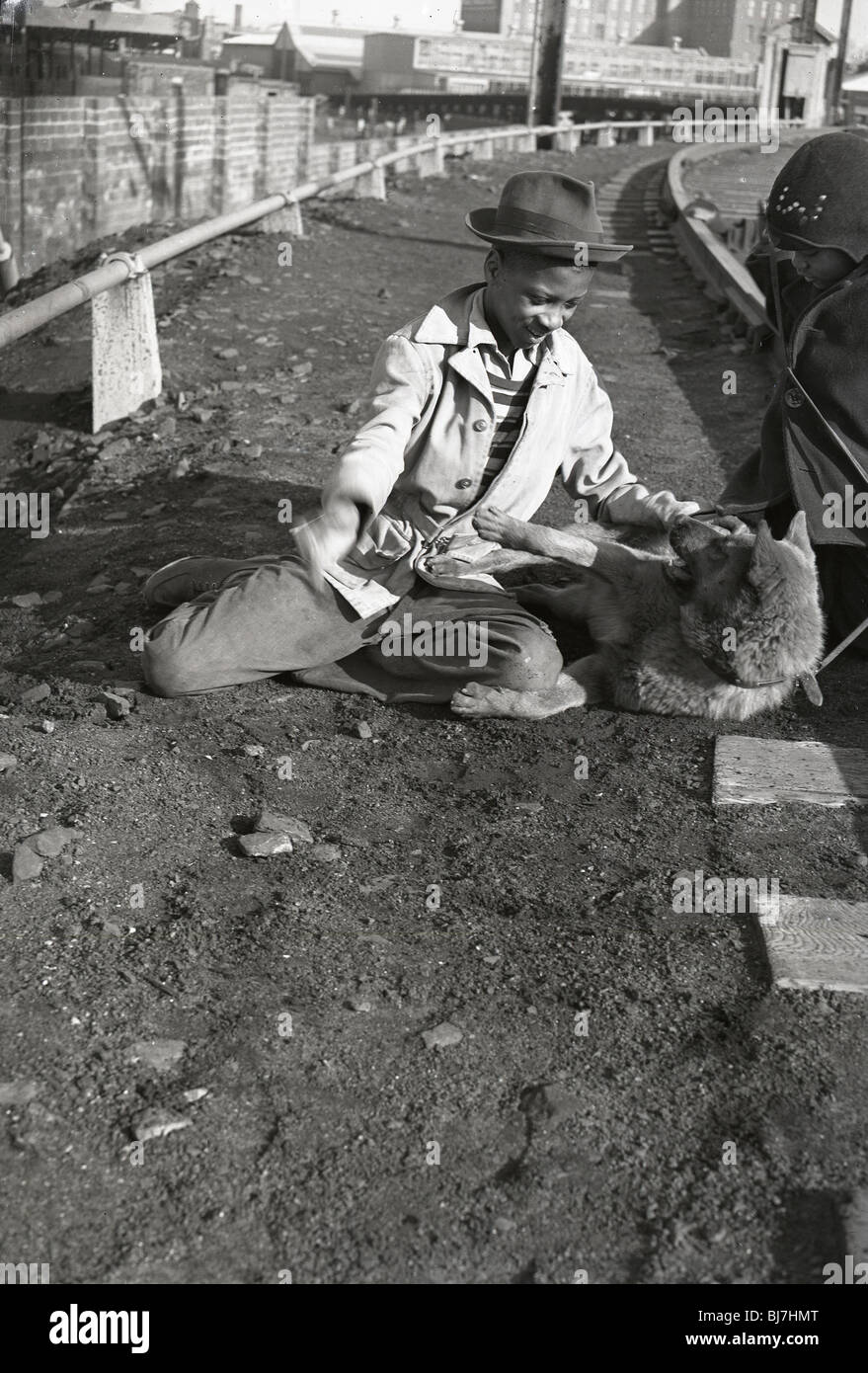 African american poverty 1950s hi-res stock photography and images - Alamy