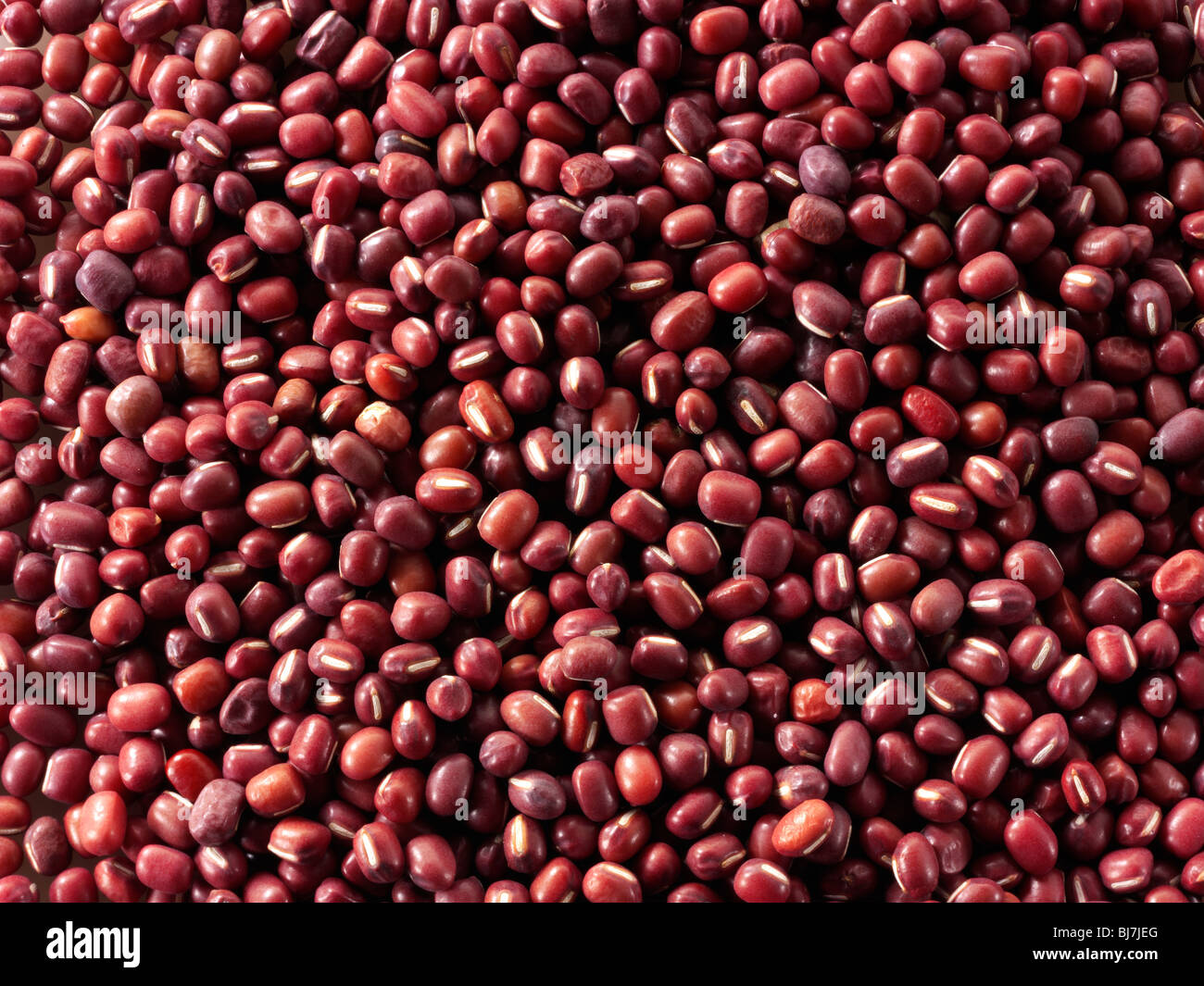 Cow Beans High Resolution Stock Photography and Images - Alamy