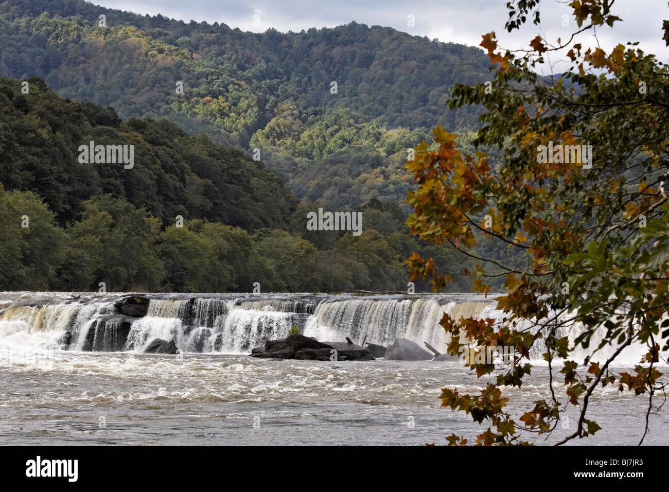 Unseen nature hi-res stock photography and images - Alamy