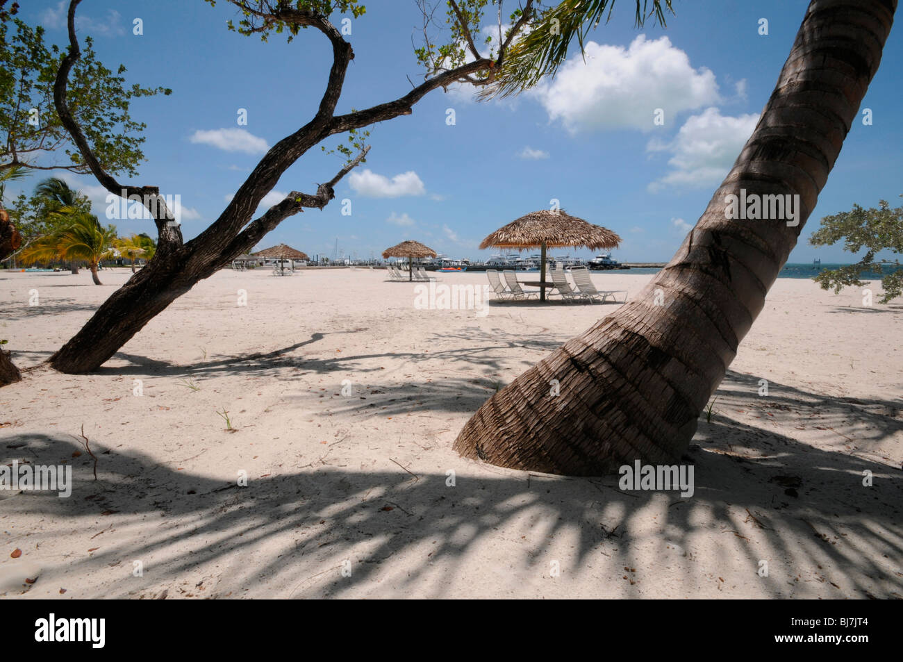View of the hotel beach in the Abaco Beach Resort on Great Abaco Island ...