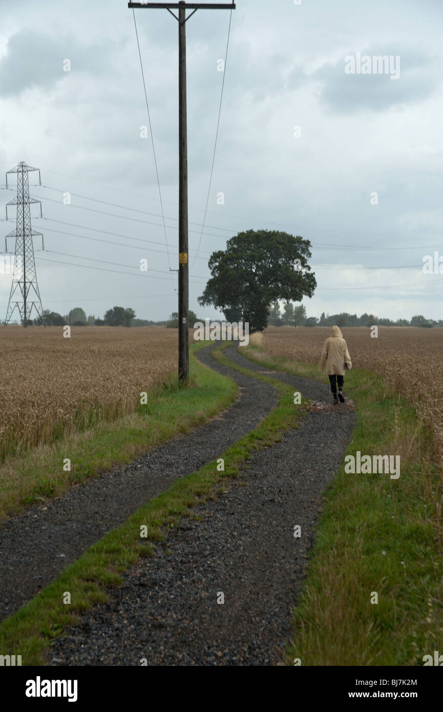 Walker on a farm track with fields, trees and pylons in rain Stock ...