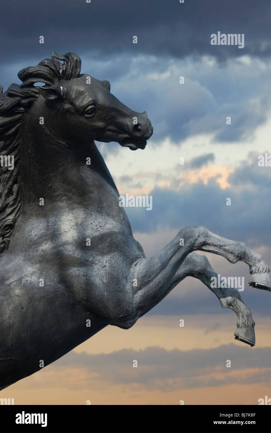 Horse dramatic sky hi-res stock photography and images - Alamy