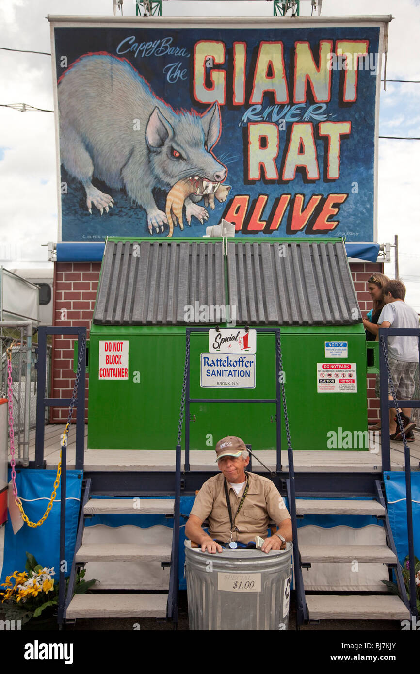 Giant live rat booth at New York State fair Stock Photo - Alamy