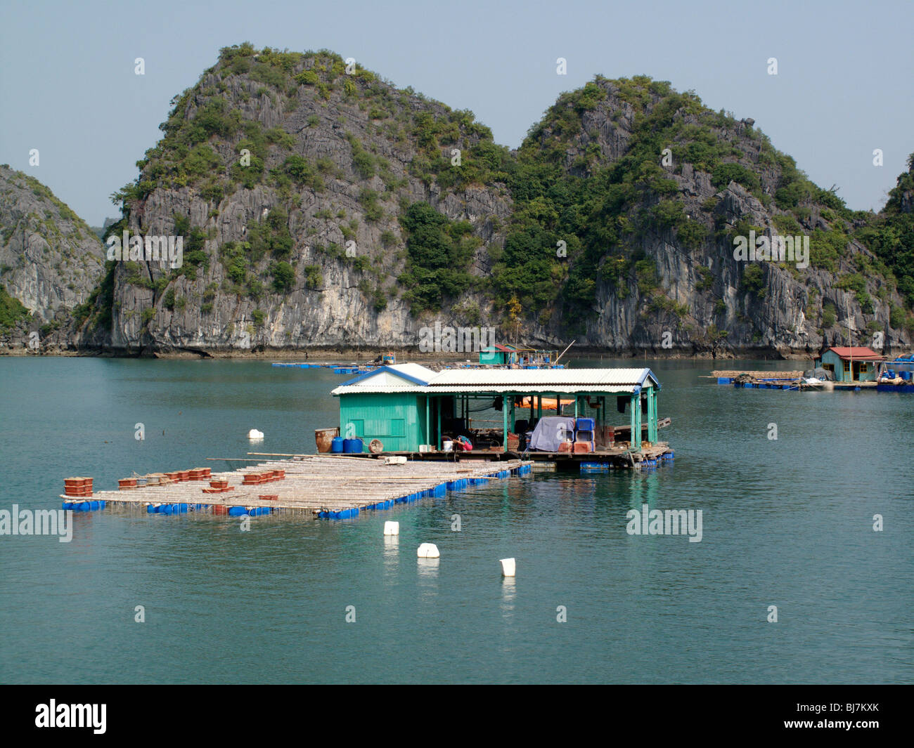 Vietnamese fish farming hi-res stock photography and images - Alamy
