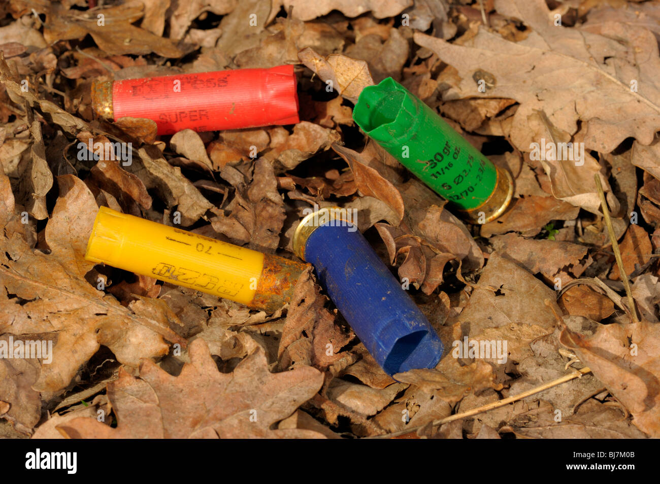 Discarded used Shotgun Cartridges Stock Photo - Alamy