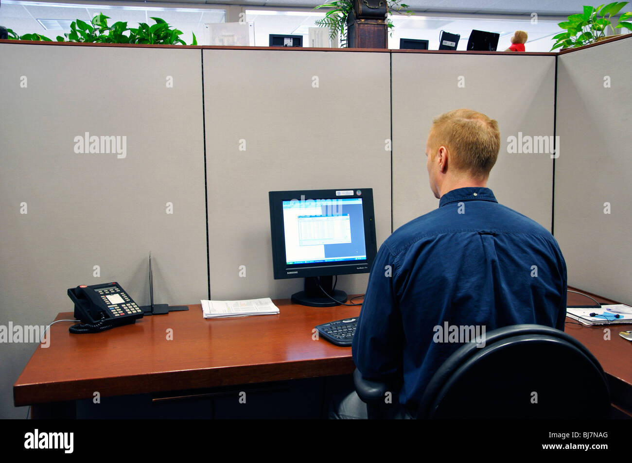 Office worker in his cubicle Stock Photo - Alamy