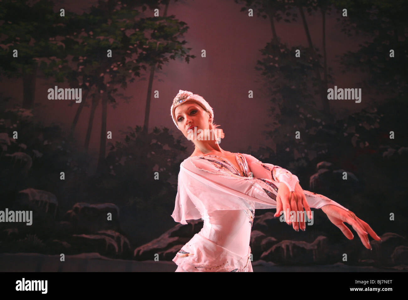 The Imperial Ice Stars perform "Swan Lake On Ice" , in Tokyo, Japan ...