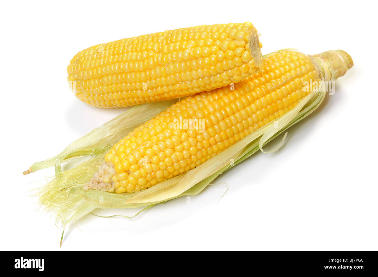 Ear of corn hi-res stock photography and images - Alamy