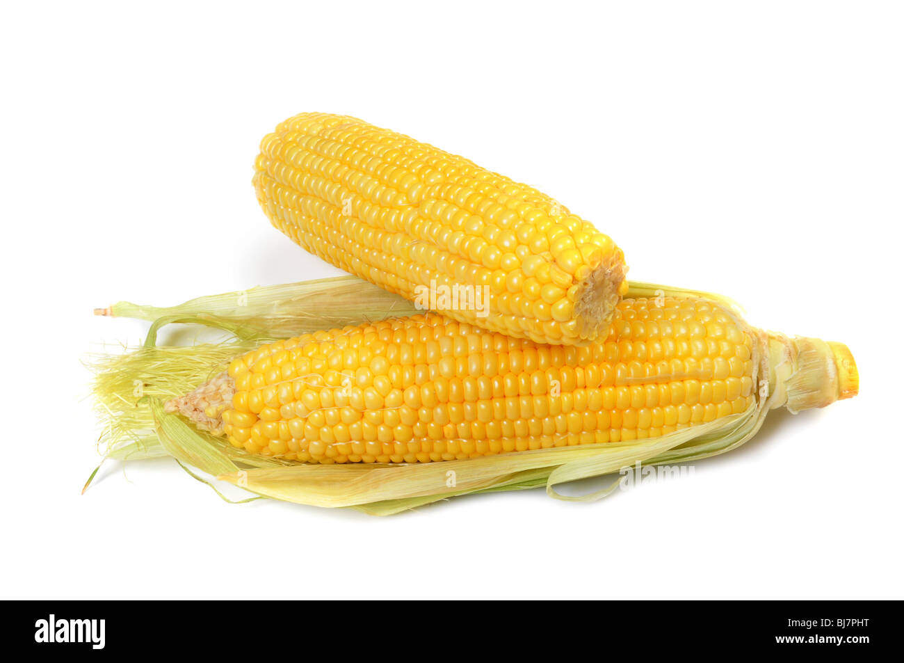 Pair of corn cob isolated on white Stock Photo - Alamy