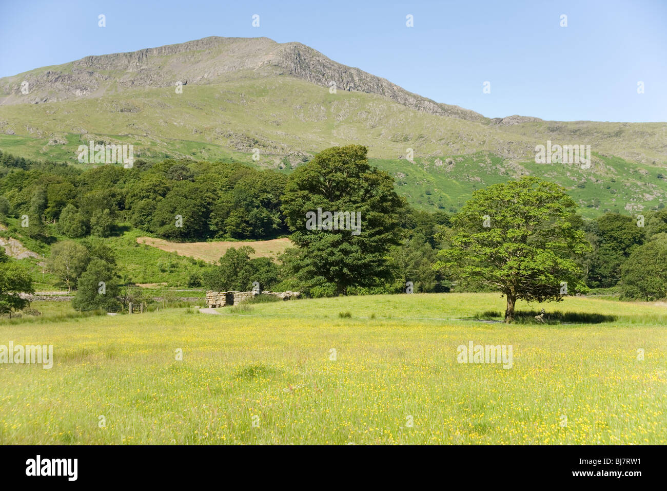 Gelert's grave in Beddgelert, Snowdonia, North Wales Stock Photo - Alamy