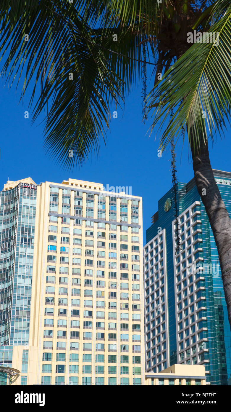 Hotels and Palm tree along Roxas Boulevard Manila Bay; Manila ...