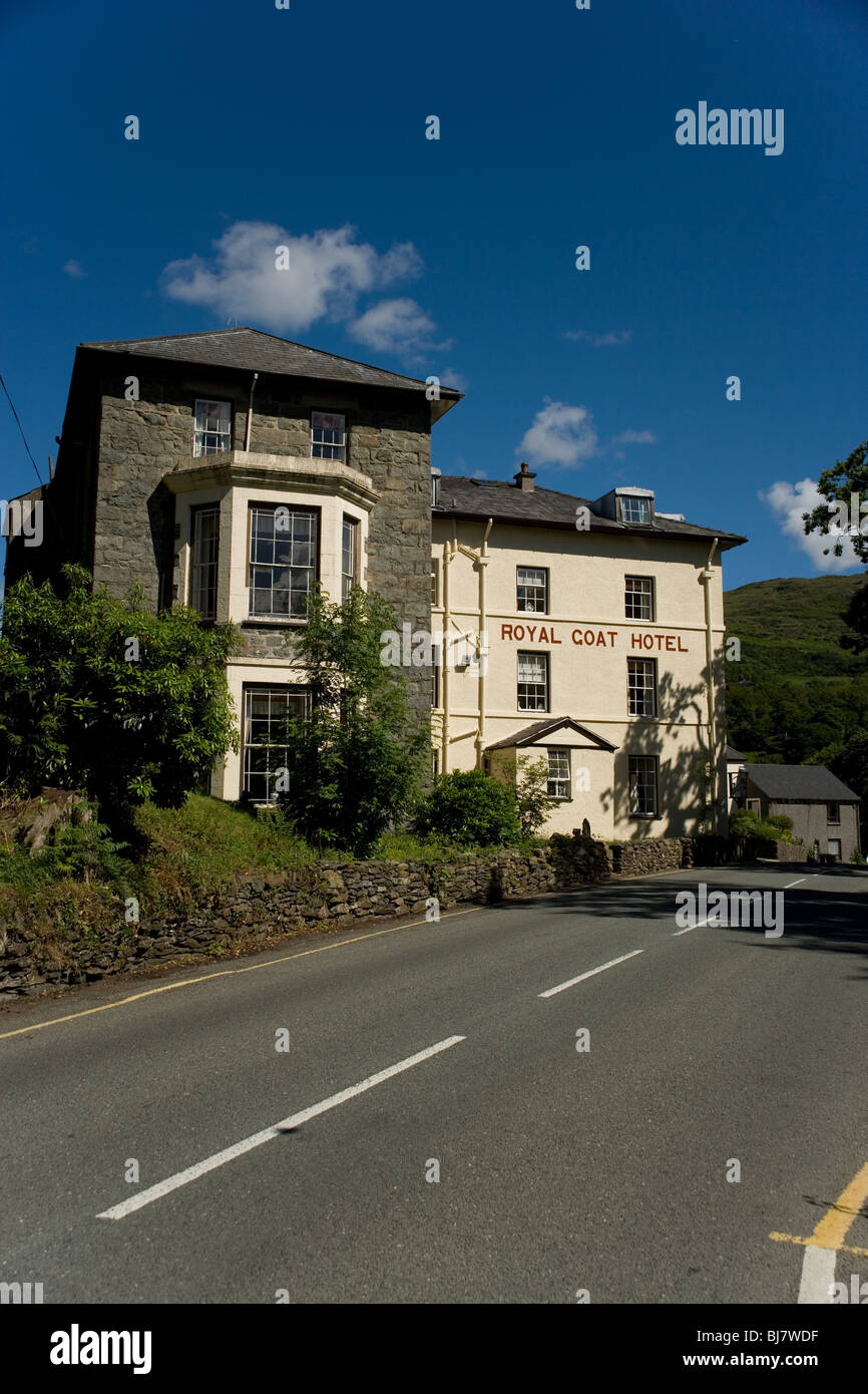 Goat hotel hi-res stock photography and images - Alamy