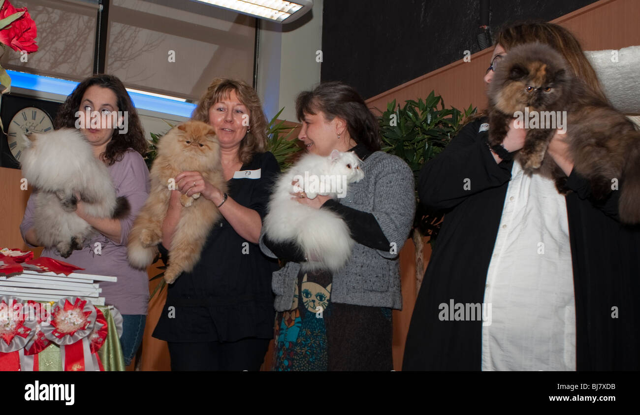 Paris, France, French Pedigree Cat Show, Trade Show, Women Holding Cats ...