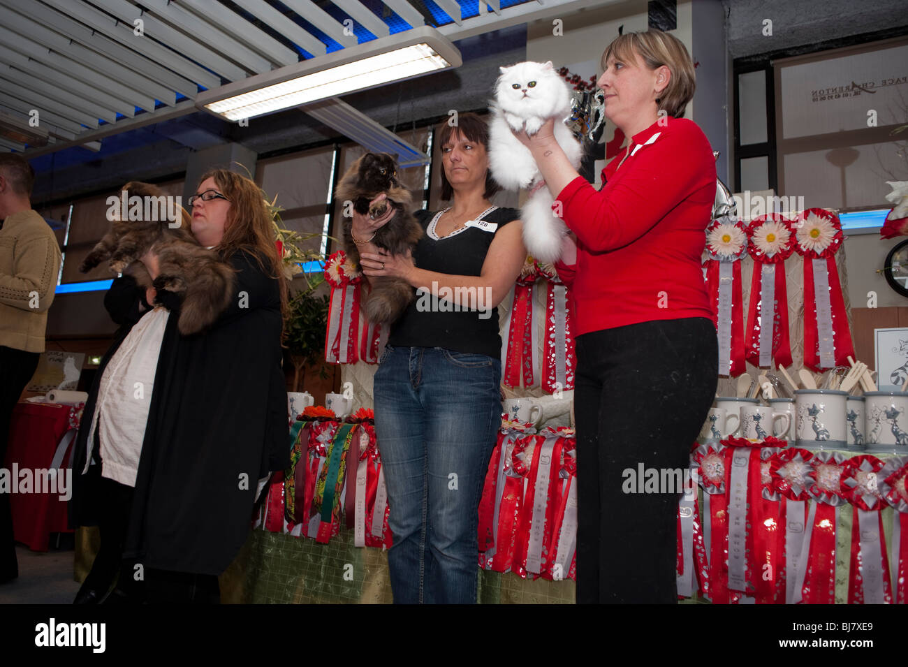 Paris, France, Pedigree Cat SHow, Pet Contest, Women Holding Cats in ...