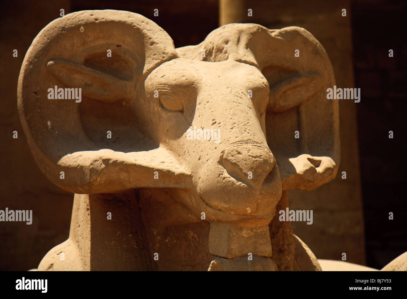 Ram statue hi-res stock photography and images - Alamy