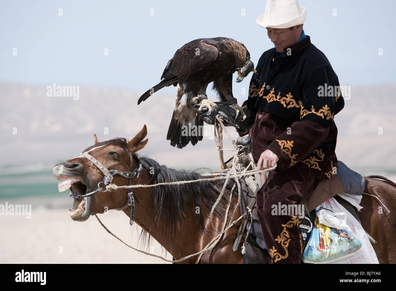 Tradition of training Golden eagles as hunting birds is still alive in countryside of Kyrgyzstan ...