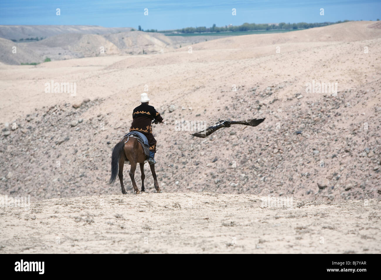 Flying trained birds of prey hi-res stock photography and images - Alamy