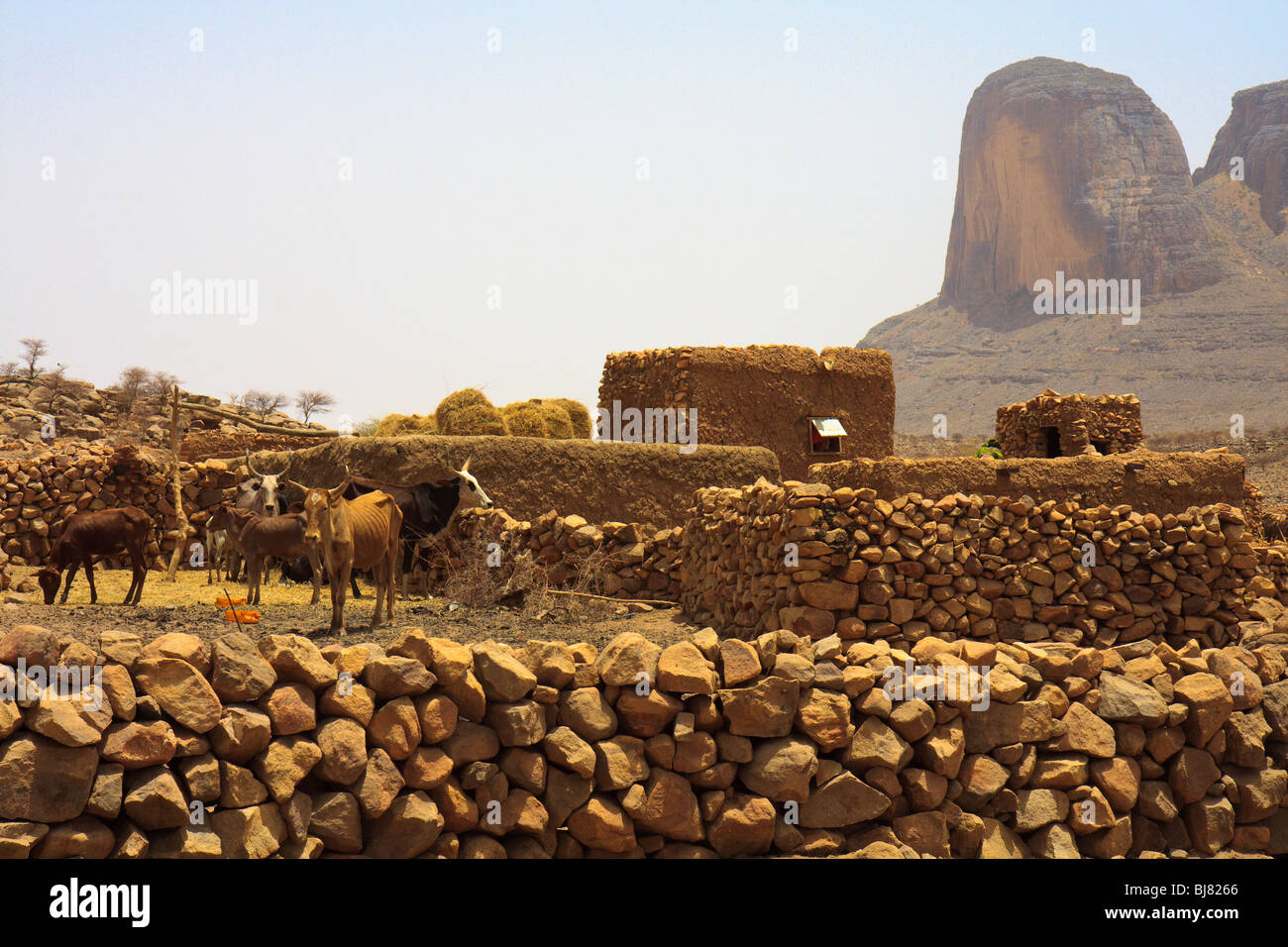 Livestock africa hi-res stock photography and images - Alamy