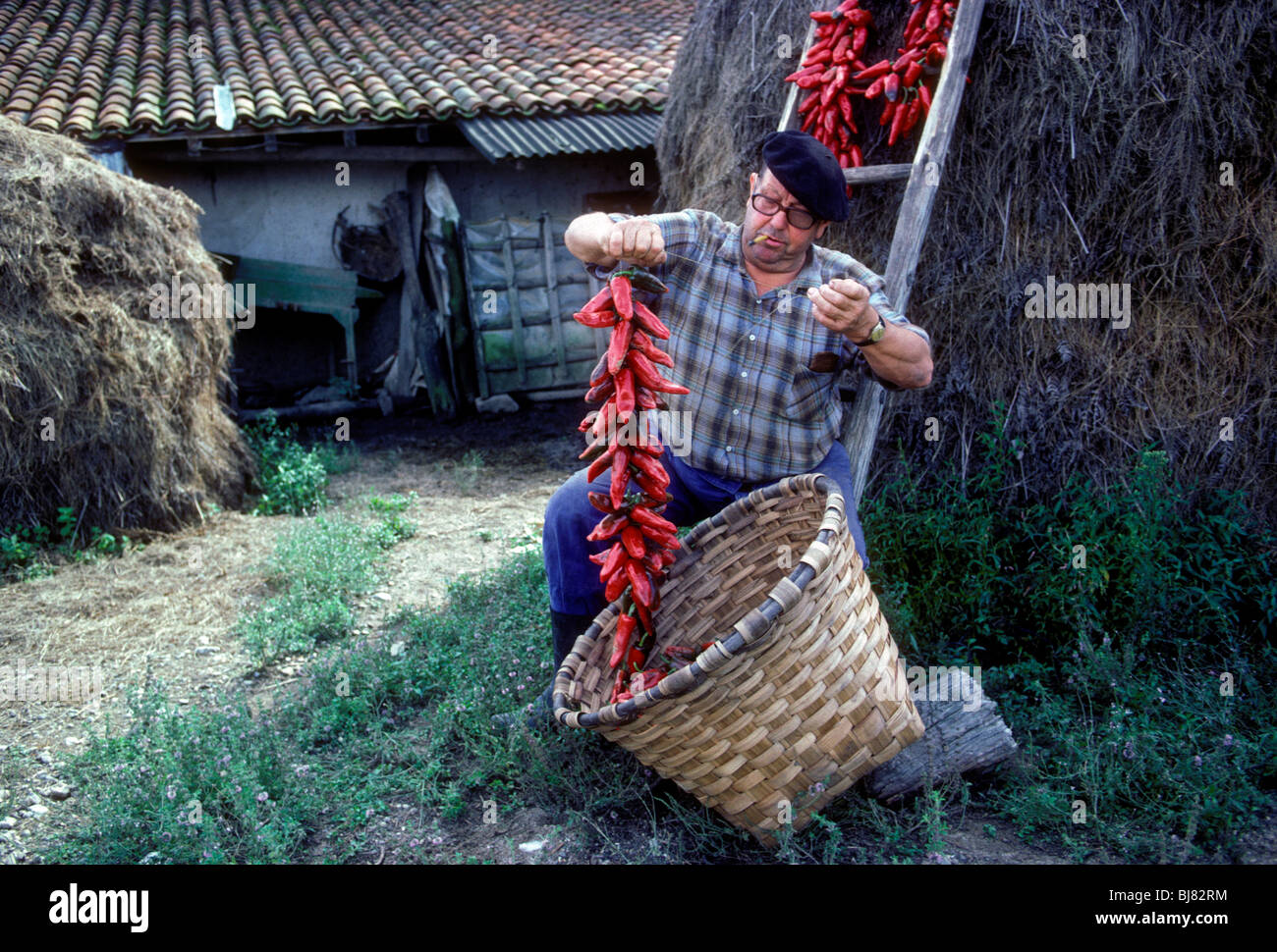 Chili pepper wreath hi-res stock photography and images - Alamy