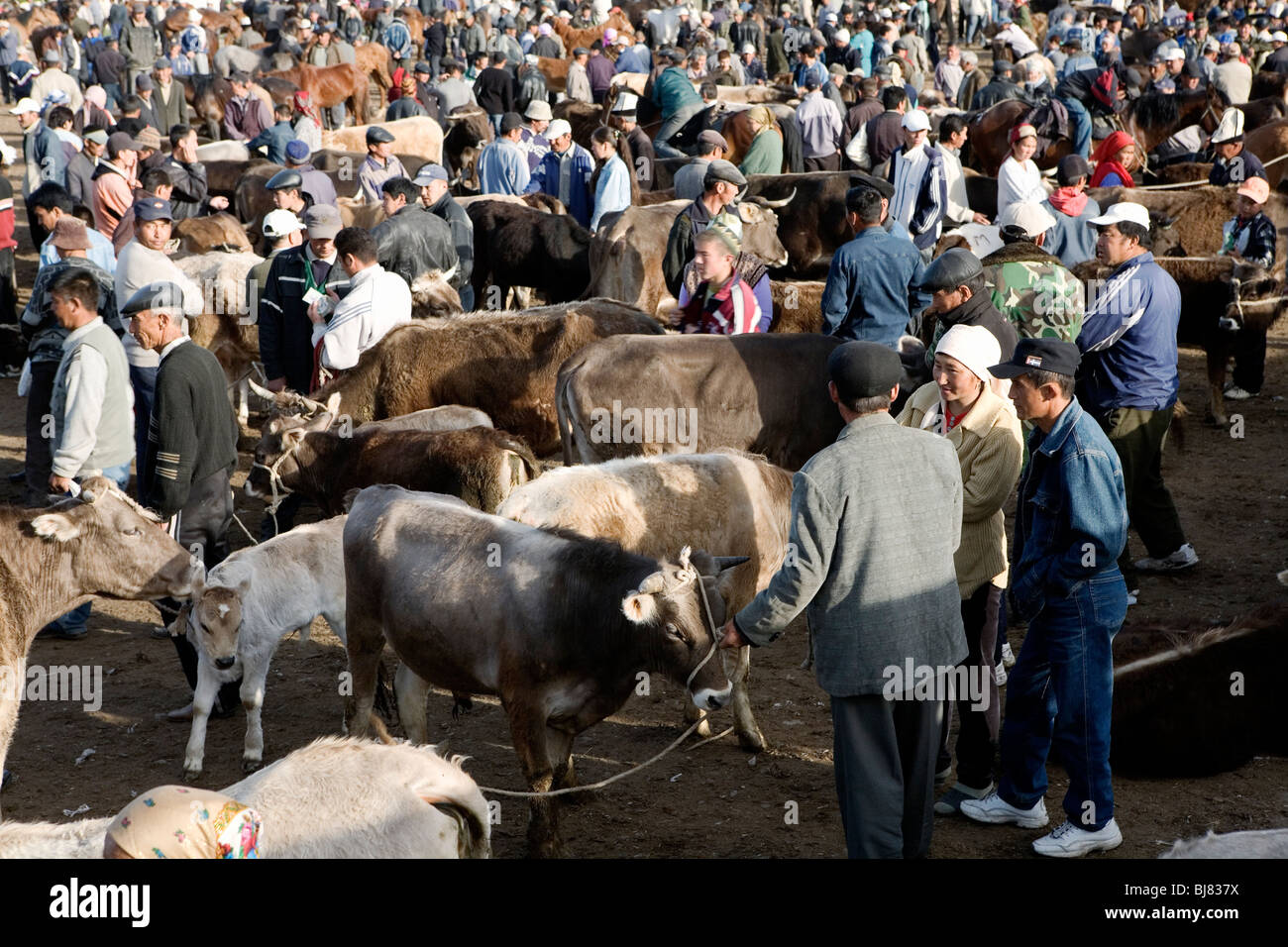 Crowd at Karakol animal market, Kyrgyzstan Stock Photo - Alamy