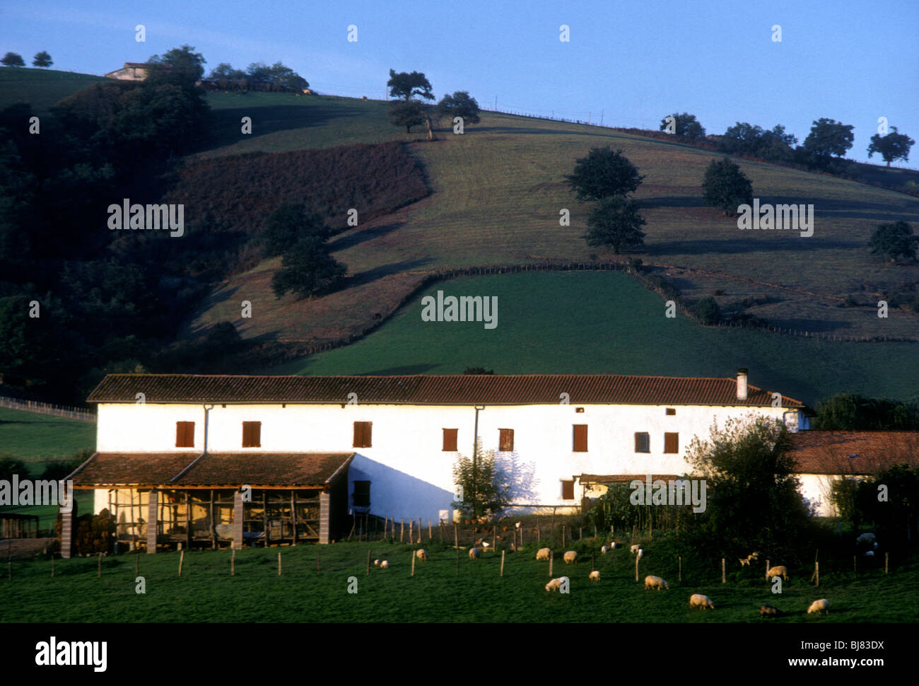 family farm, farm, farmhouse, farmland, farmstead, French Basque ...