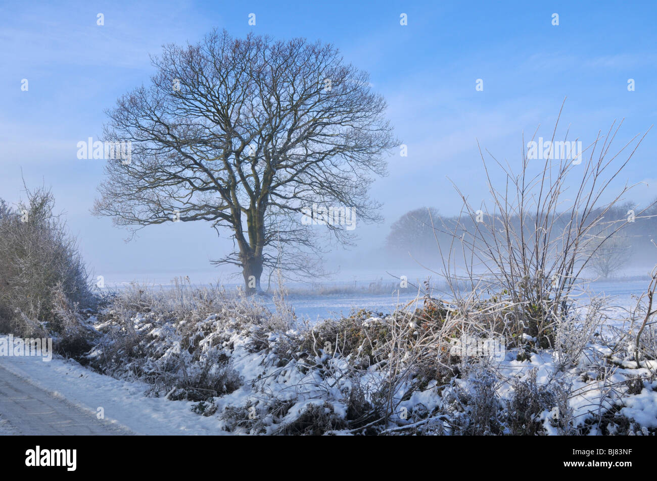 Winter wonderland country lane Stock Photo - Alamy