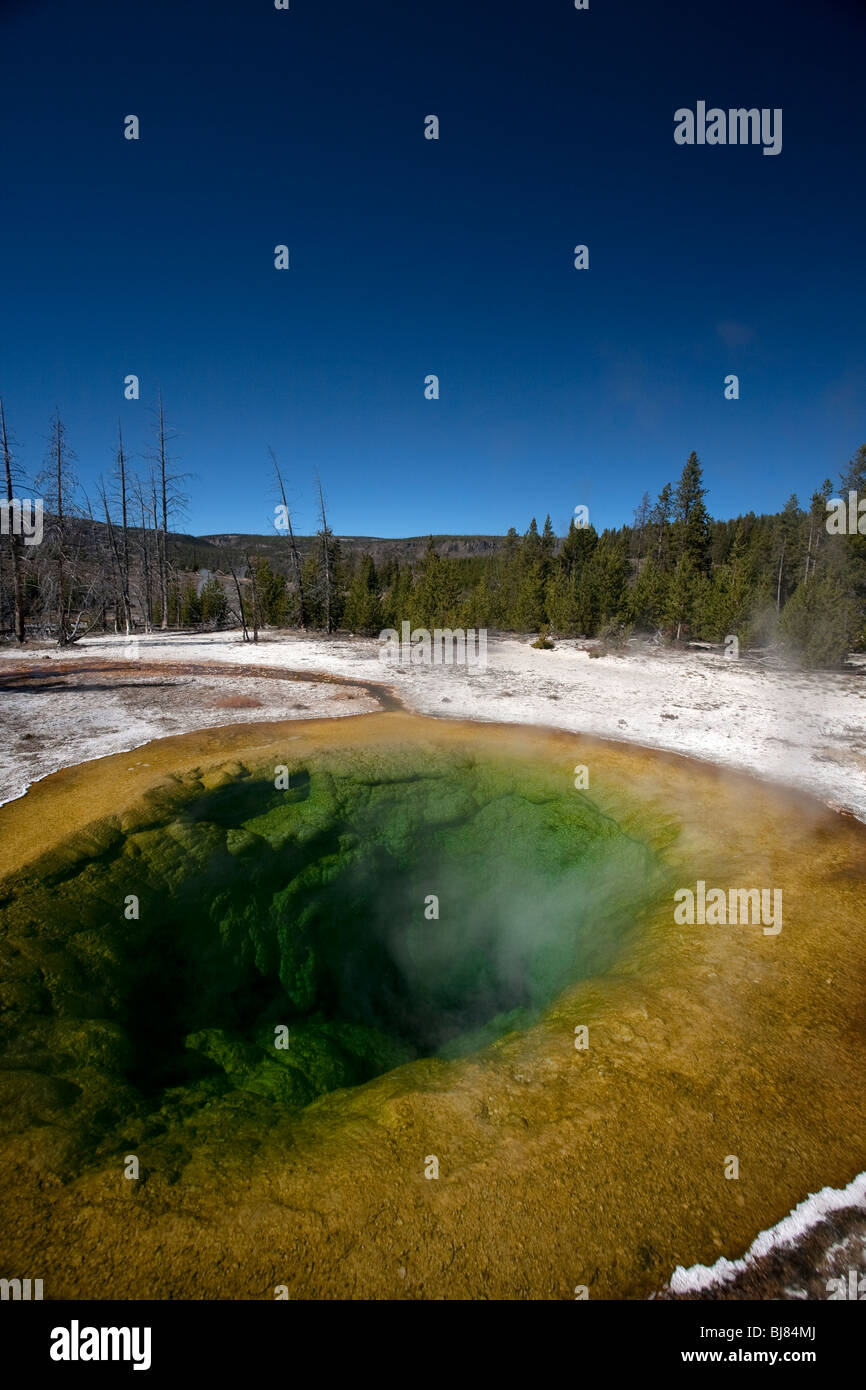 Dark morning glory hi-res stock photography and images - Alamy