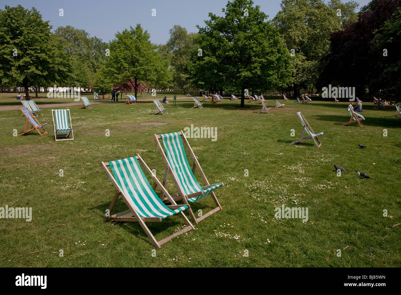 Empty deck chairs in park Stock Photo - Alamy