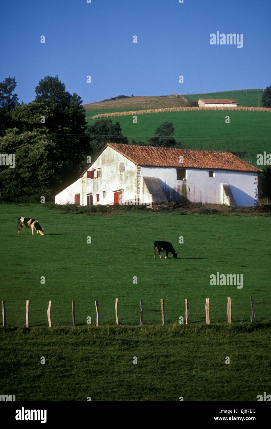 Farmhouse exterior cows hi-res stock photography and images - Alamy