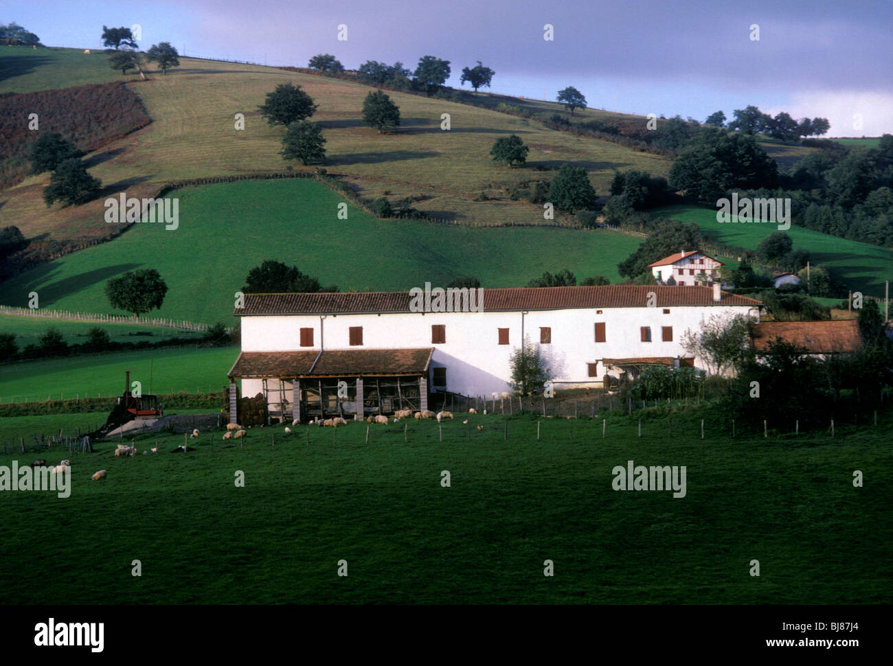 Farmhouse exterior sheep hi-res stock photography and images - Alamy