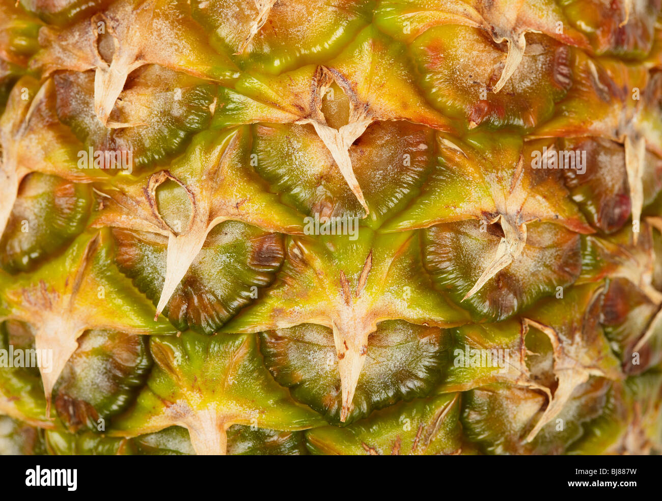 The pattern of the surface pineapple close-up Stock Photo - Alamy