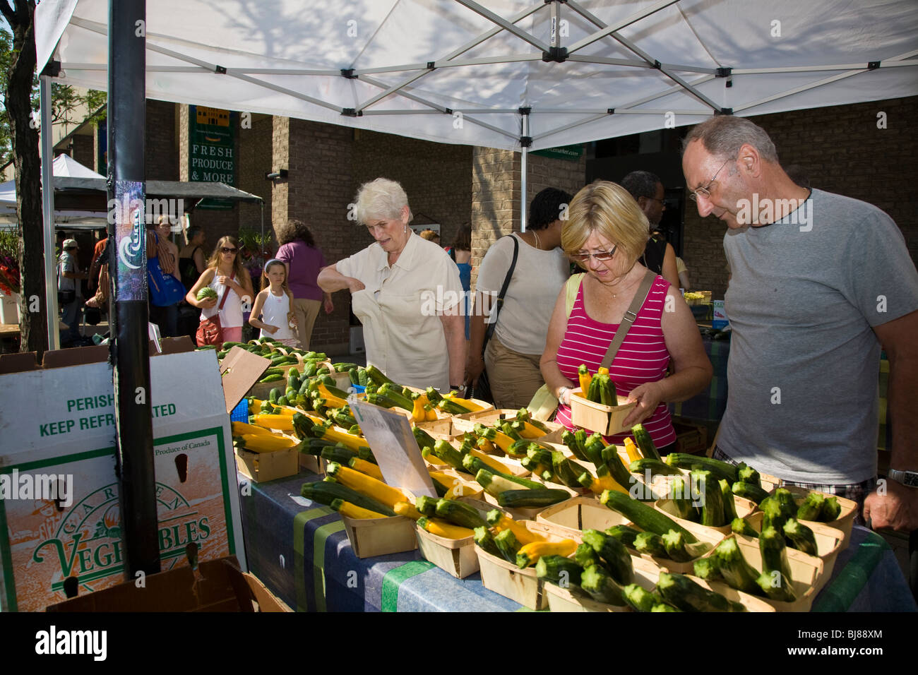 Urban Agriculture at St.Lawrence Outdoor Farmers Market in the city of ...