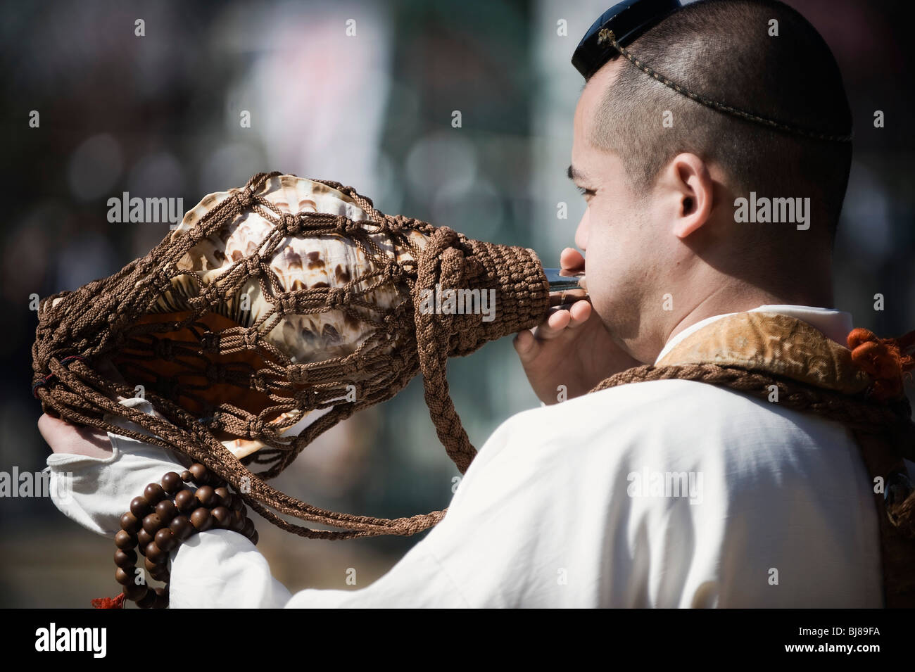 Priests shell hi-res stock photography and images - Alamy