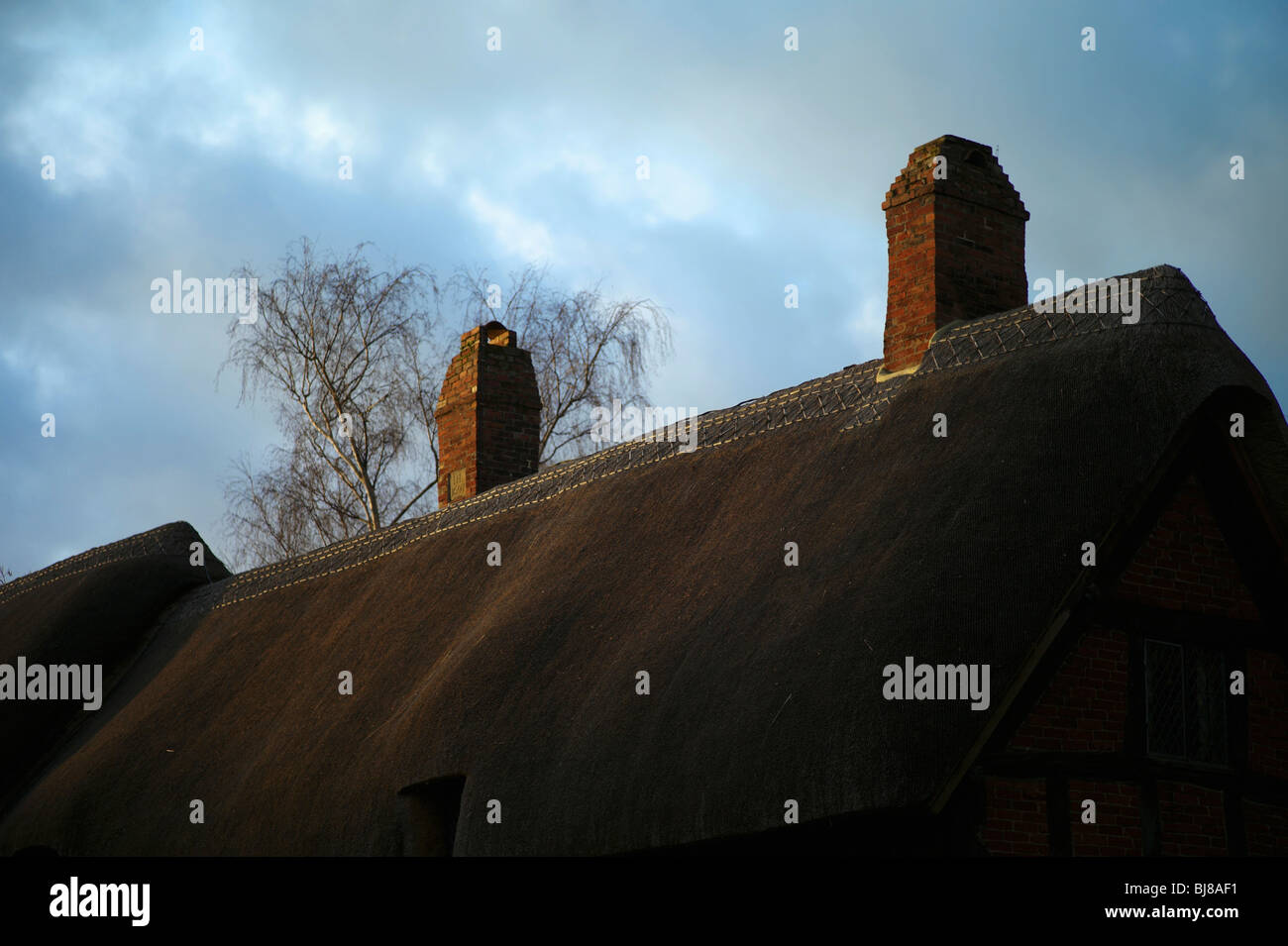 a chimney on the thatched roof of a cottage Stock Photo - Alamy