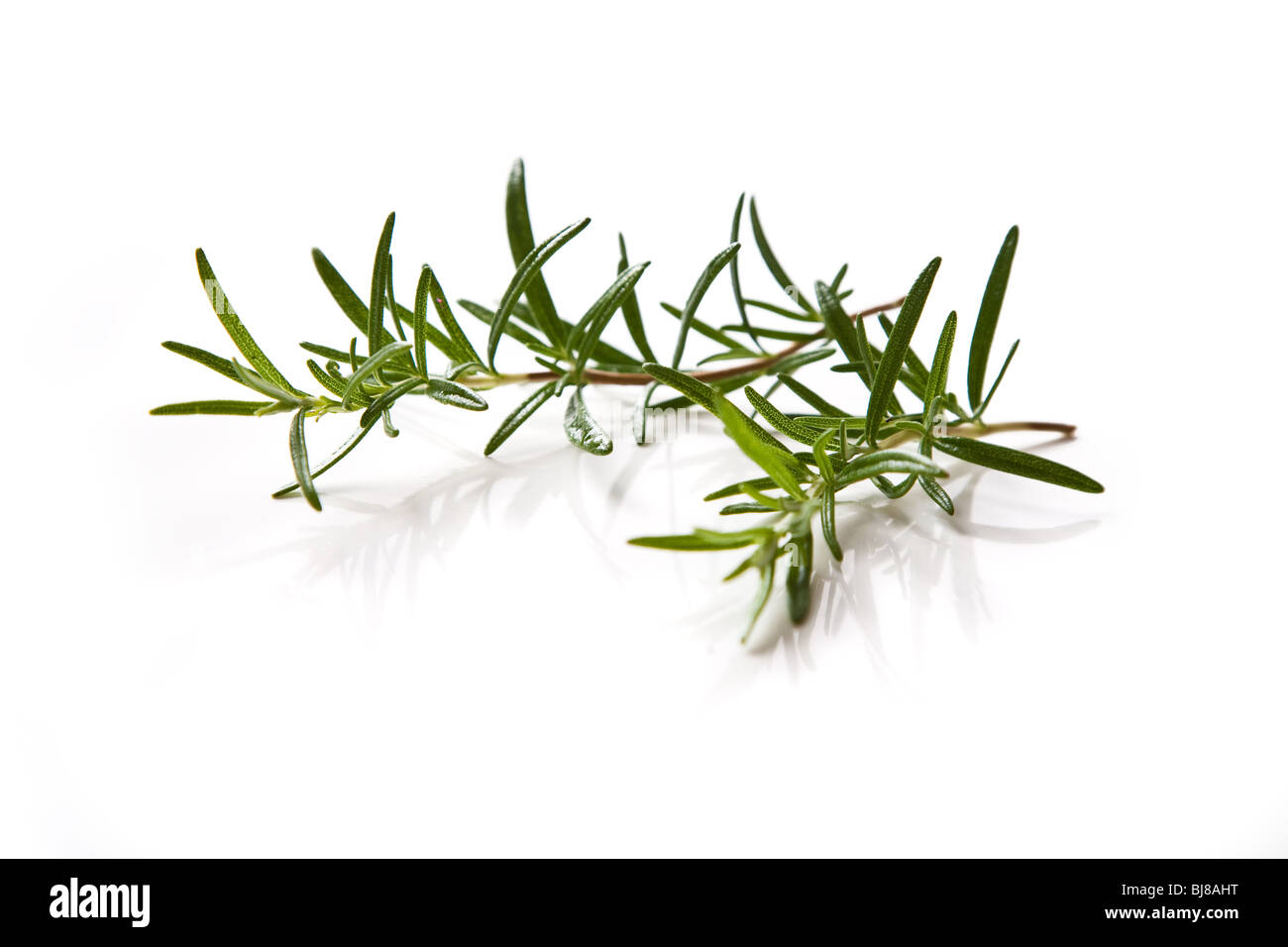Rosemary hi-res stock photography and images - Alamy