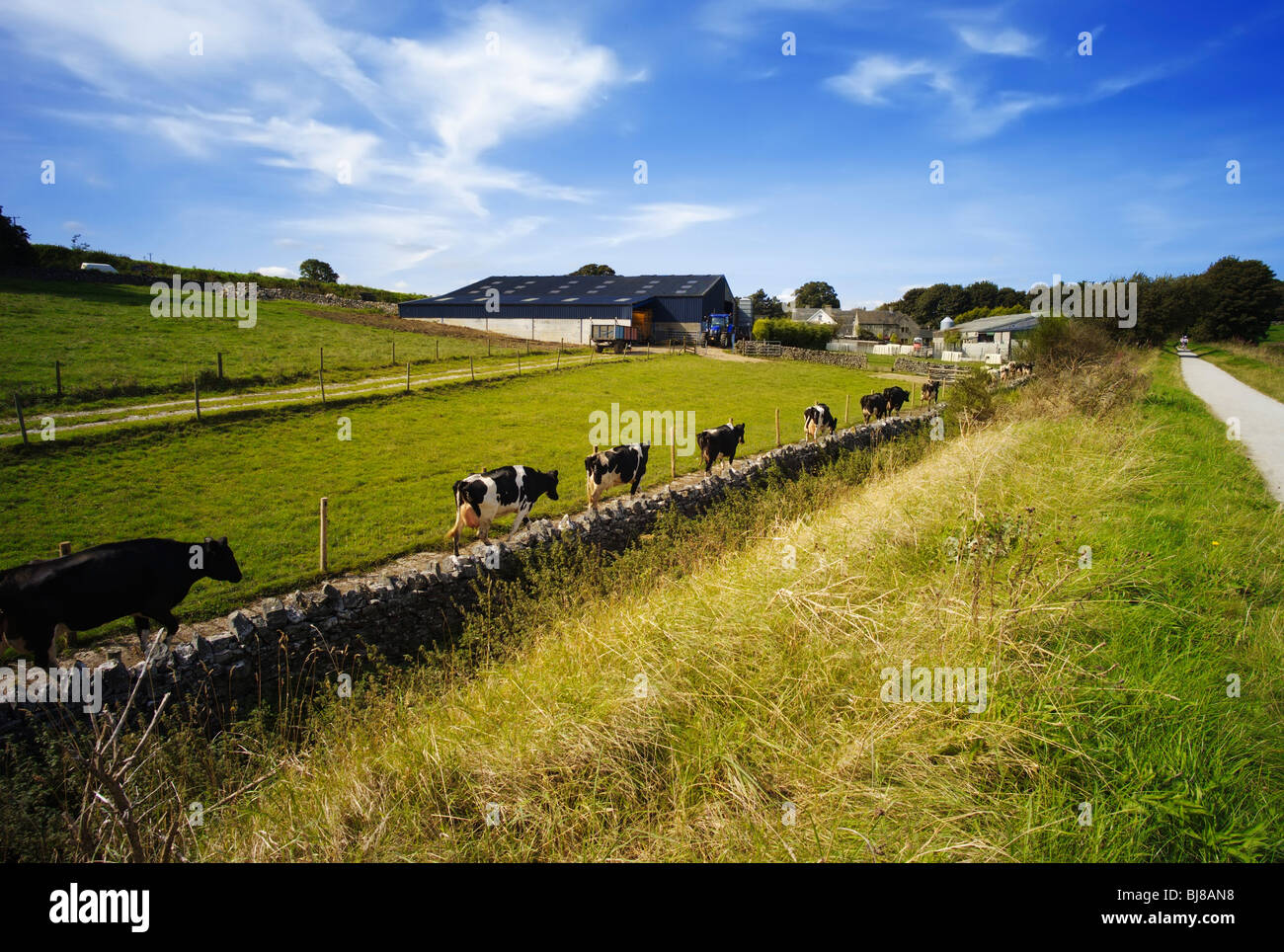 Animal paths field hi-res stock photography and images - Alamy