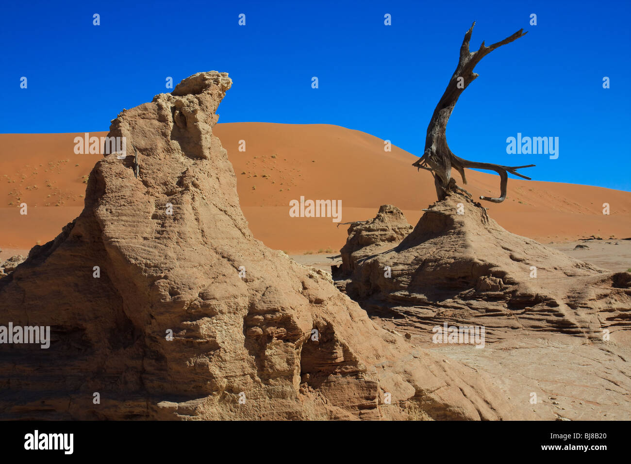 Africa Dead Vlei Namib Desert Namibia Sossusvlei Stock Photo - Alamy