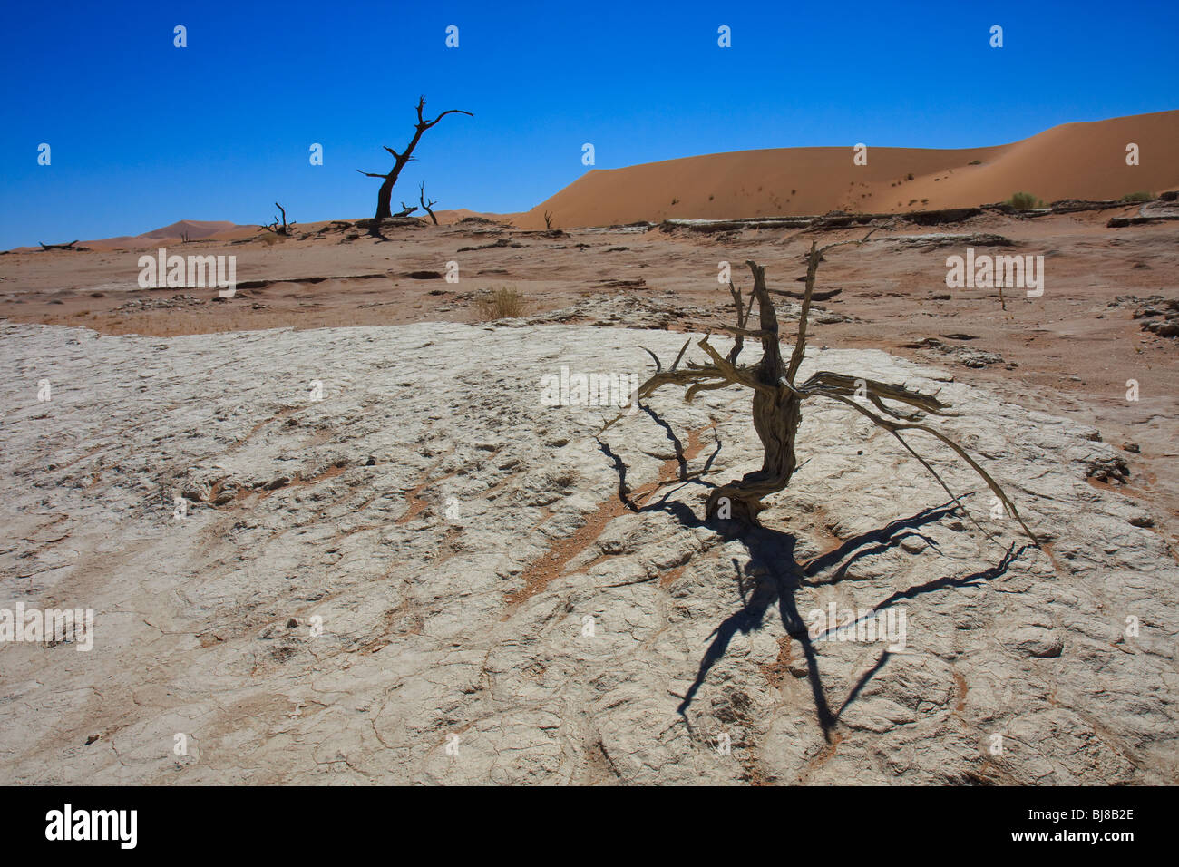 Africa Dead Vlei Namib Desert Namibia Sossusvlei Stock Photo - Alamy