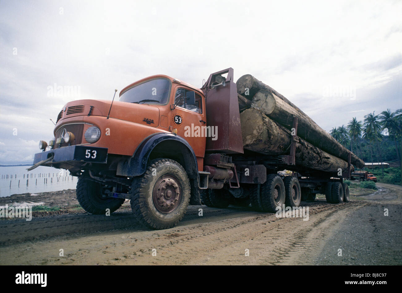 Logging trucks in Sabah Malaysia Stock Photo - Alamy