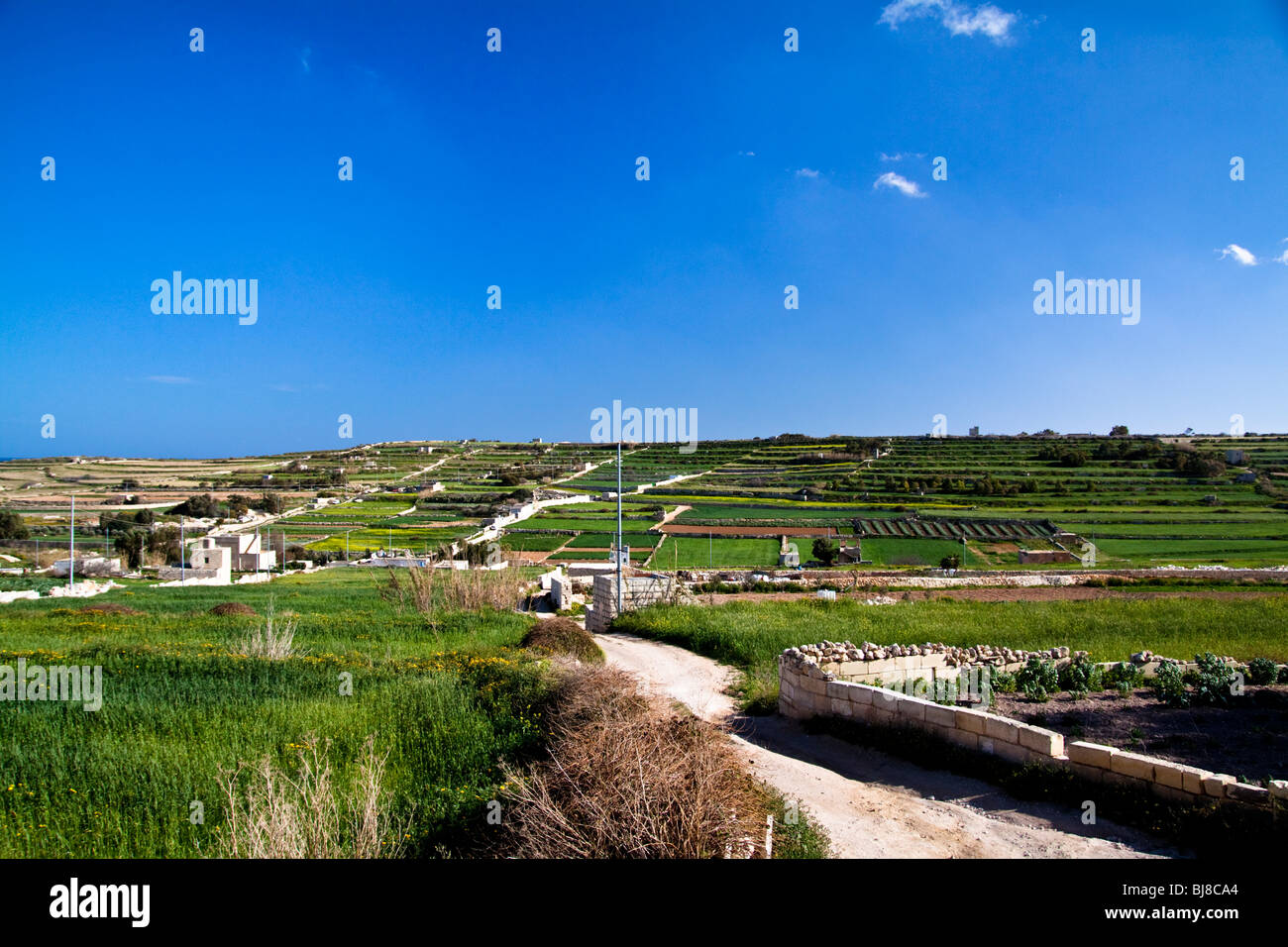 Countryside malta hi-res stock photography and images - Alamy