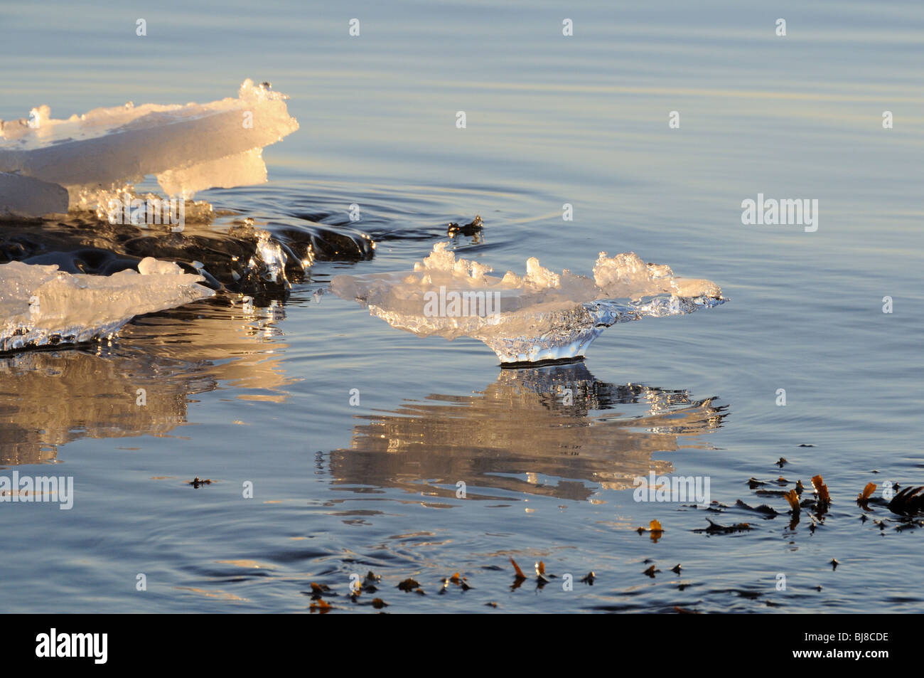 Floating ice in sunset Stock Photo - Alamy
