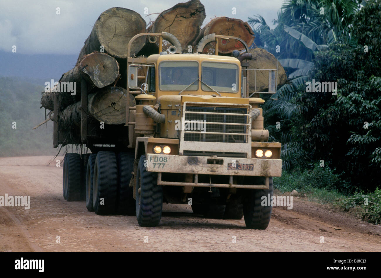 Logging trucks in Sabah Malaysia Stock Photo - Alamy