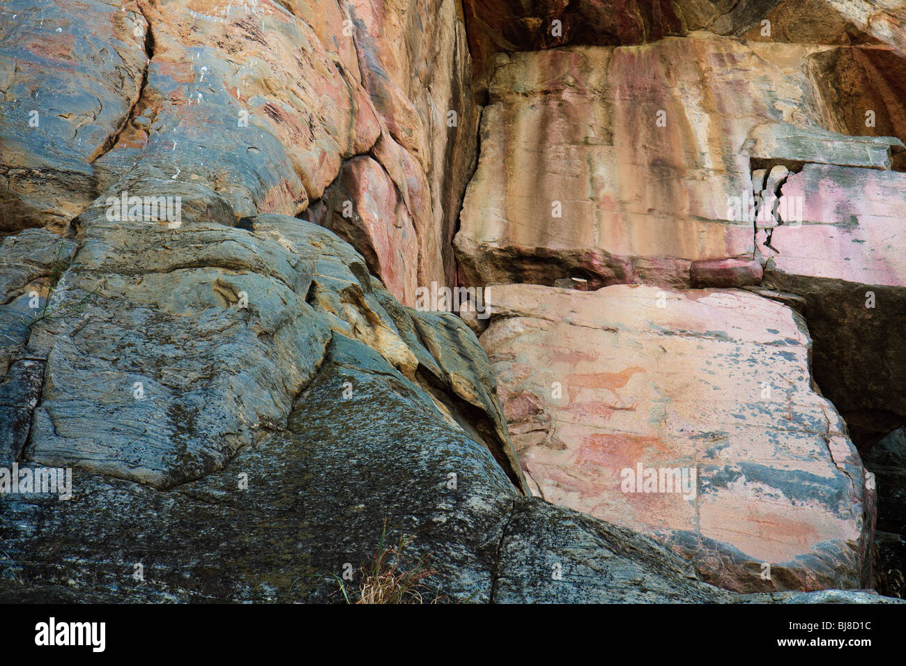 Africa Botswana Rock Paintings Rock Tsodilo Hills Stock Photo - Alamy