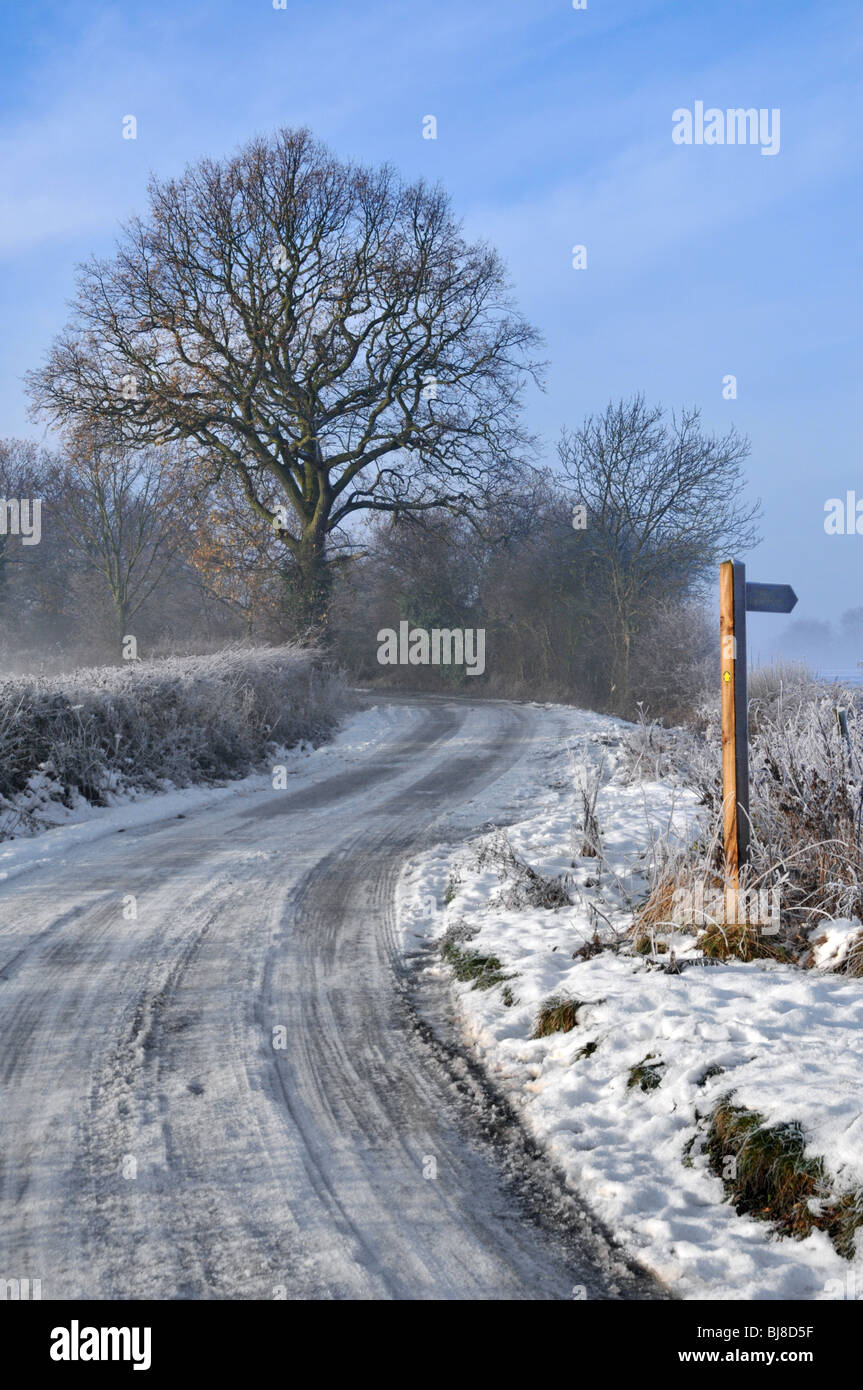 Oak tree lane hi-res stock photography and images - Alamy