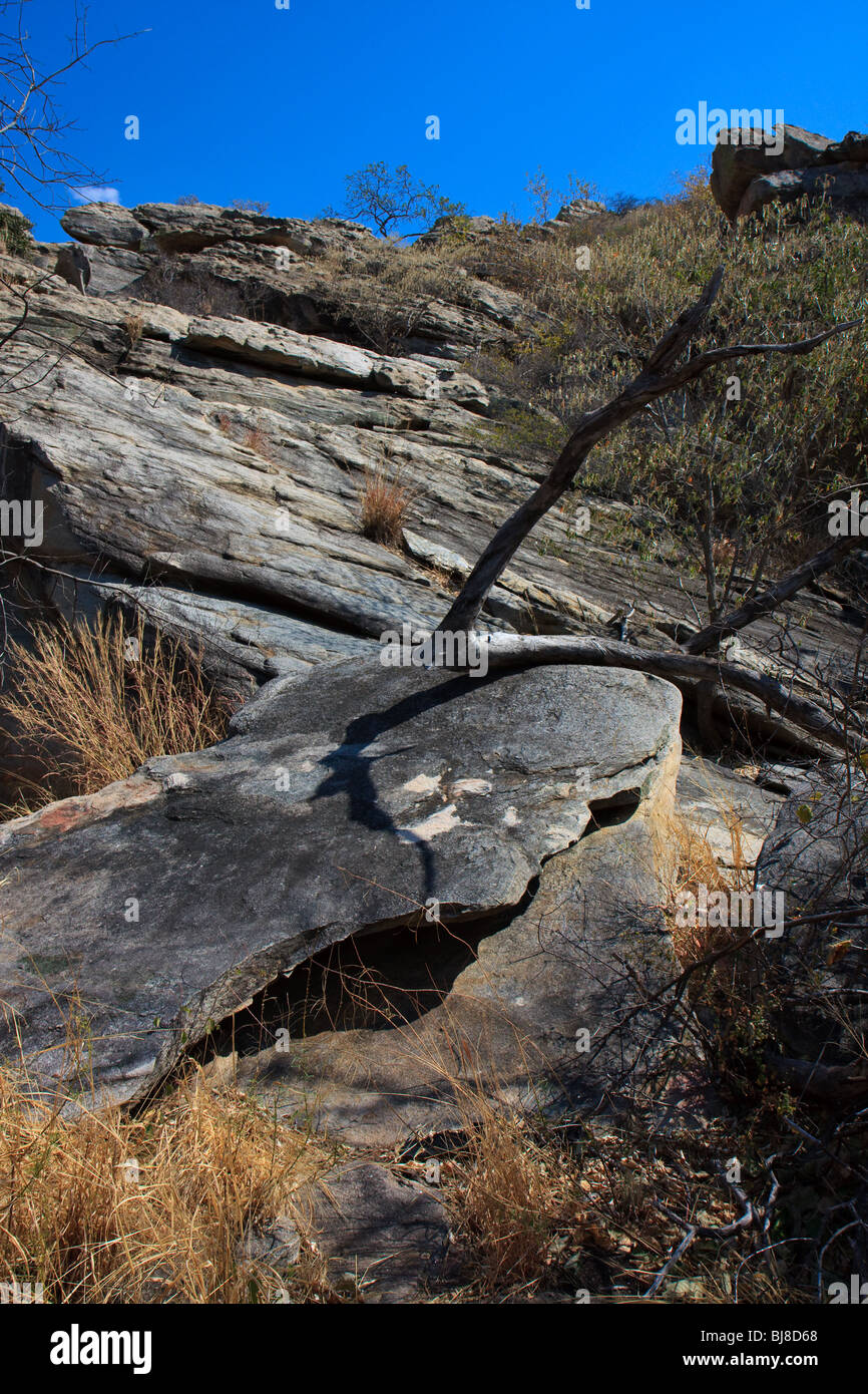 Africa Blue Sky Botswana Rock Tree Tsodilo Hills Stock Photo - Alamy