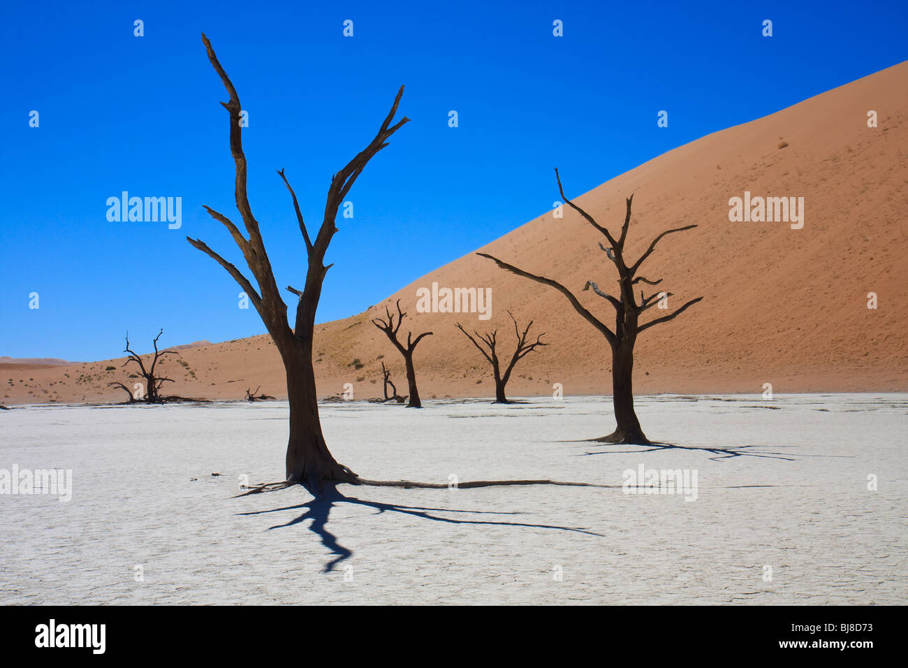 Africa Dead Vlei Namib Desert Namibia Sossusvlei Stock Photo - Alamy