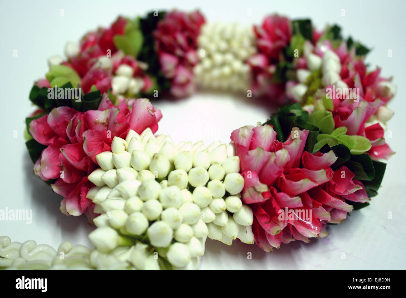 Thai flowers hi-res stock photography and images - Alamy